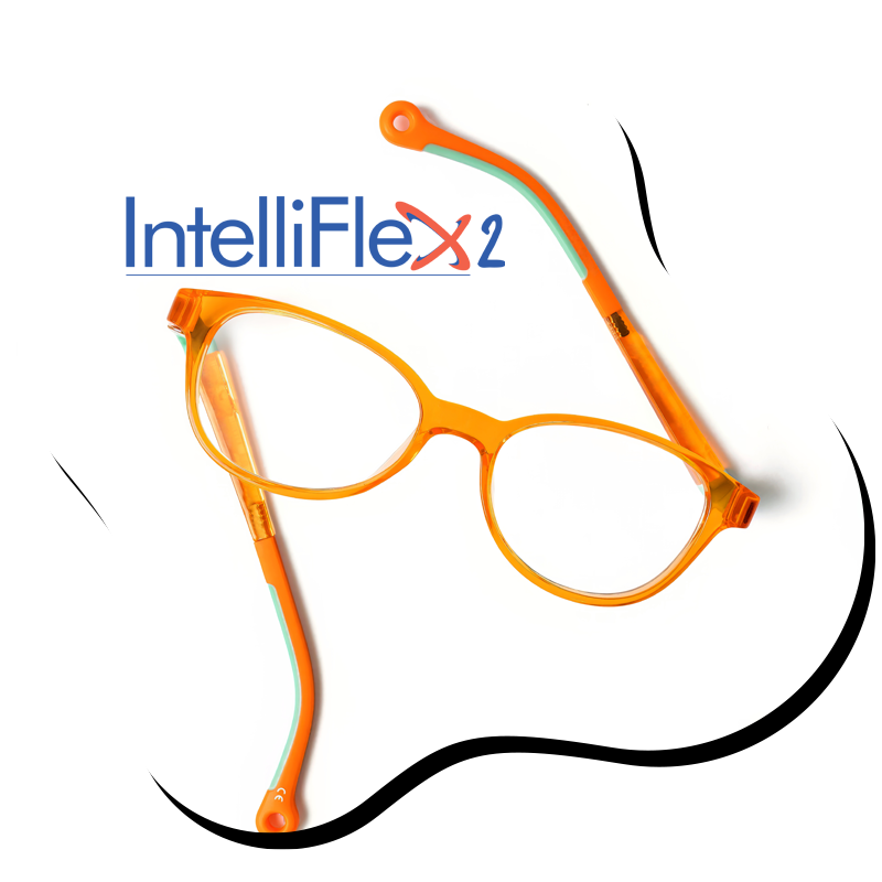 Introducing - Demi + Dash!